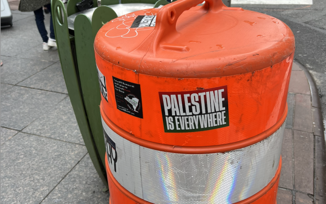 The Blogs: Hypocrisy at the Heart of the Free Palestine Movement ...