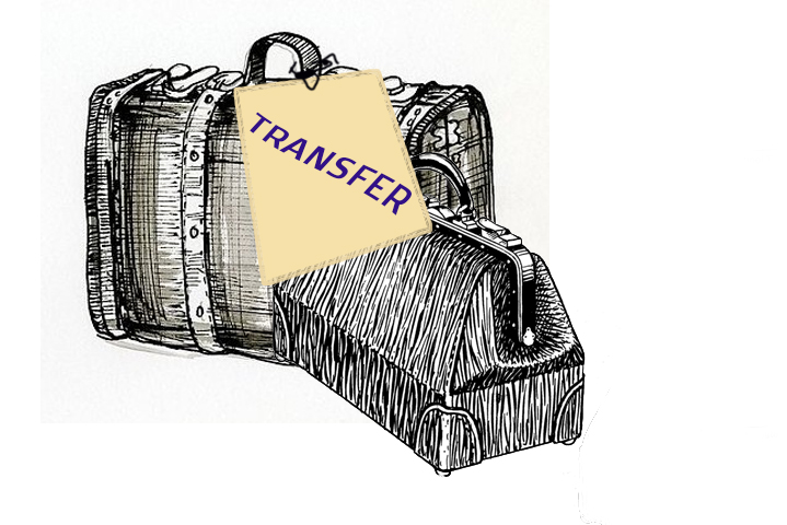 The Blogs: Is transfer the answer? | Judy Halper | The Times of Israel