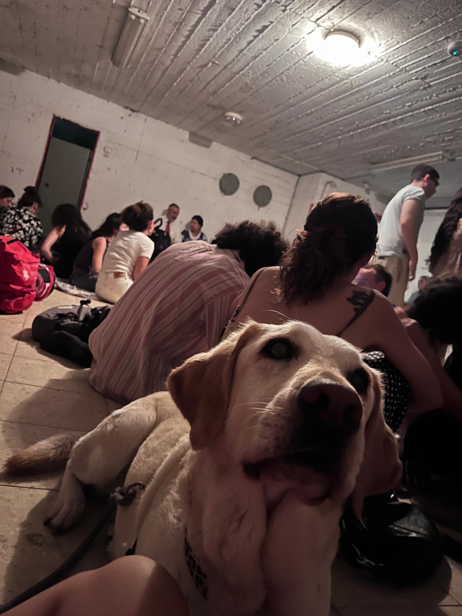 The Blogs: Your hebrew word for the day: MAMAD | Ruth Lieberman | The ...