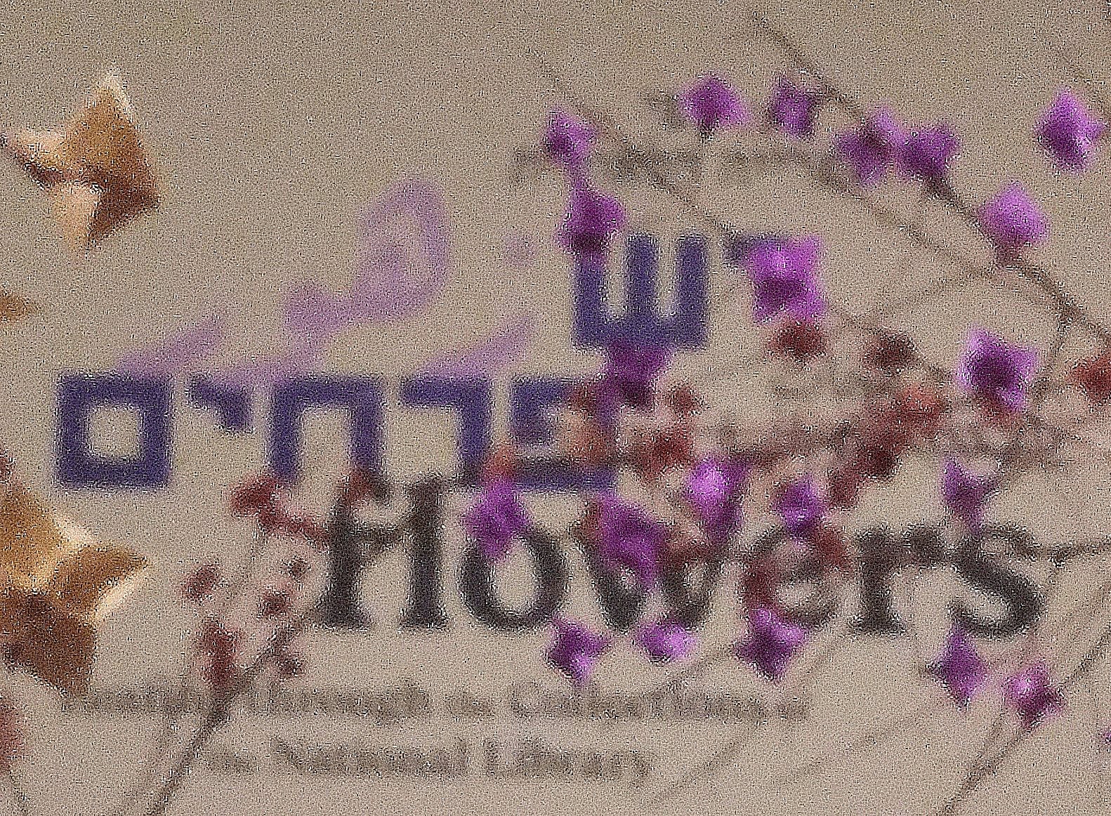 The Blogs: Jerusalem Mixed Grill: A Slice of Life | Heddy Breuer ...