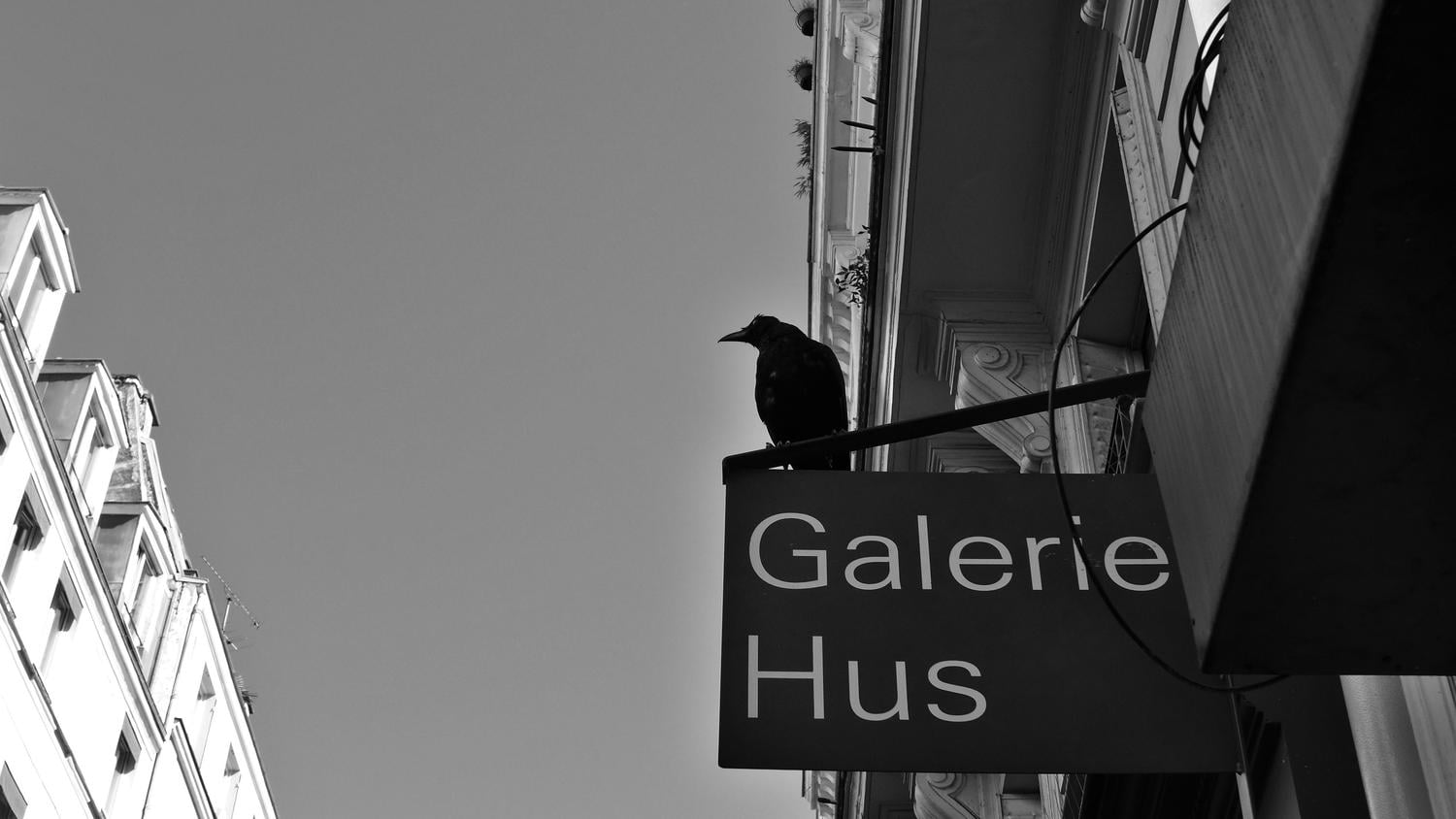 The Blogs: Tristan Cormier Interview | Alexandre Gilbert #296 ...