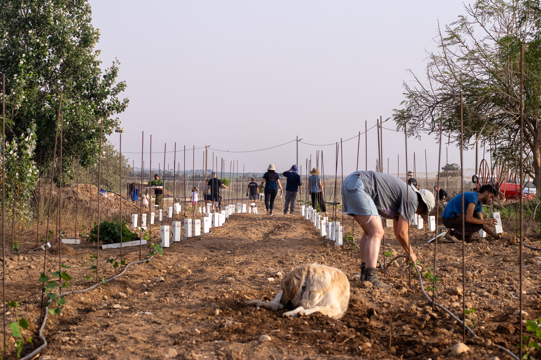 The Blogs: From 95% heaven to 100% hell: Two years on | Adele Raemer ...