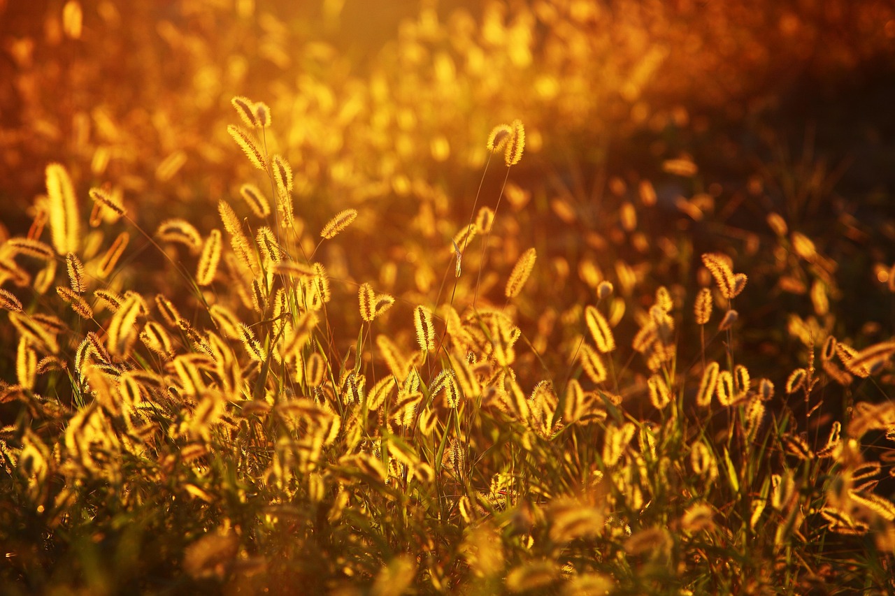 The Blogs: We Need Light | Nitzan Bergman | The Times of Israel