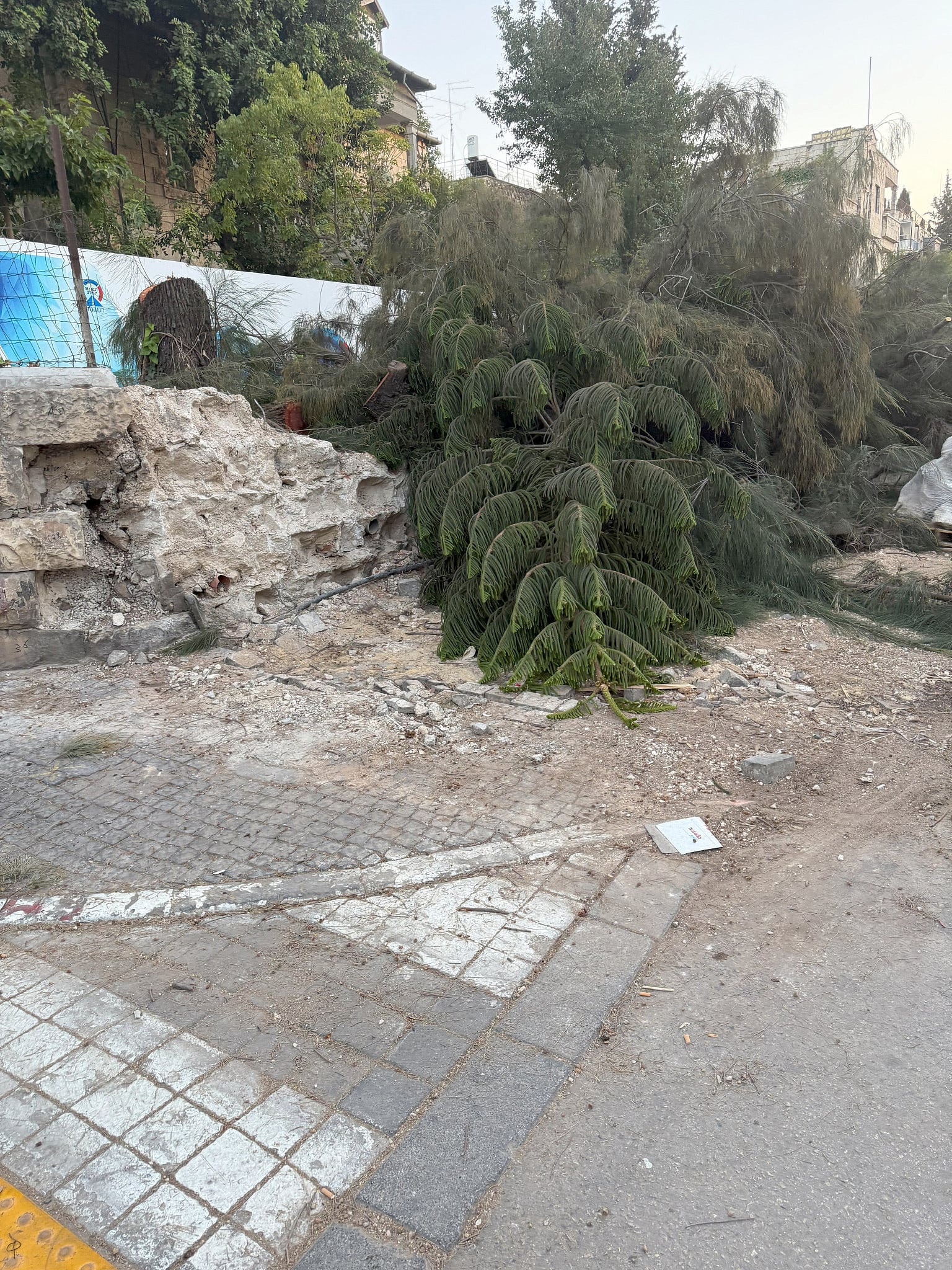 The Blogs: Emek Refaim: A Neighborhood Sacrificed | Stephen M. Flatow ...