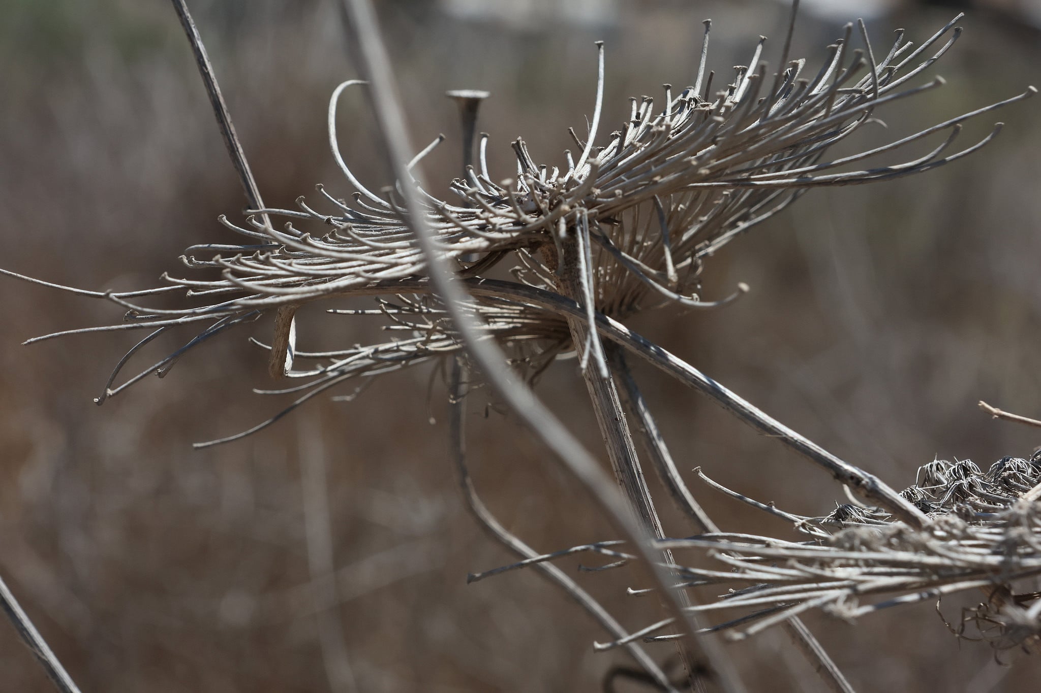 The Blogs: Desperately seeking a Rabbi (epistemic disorientation in a ...