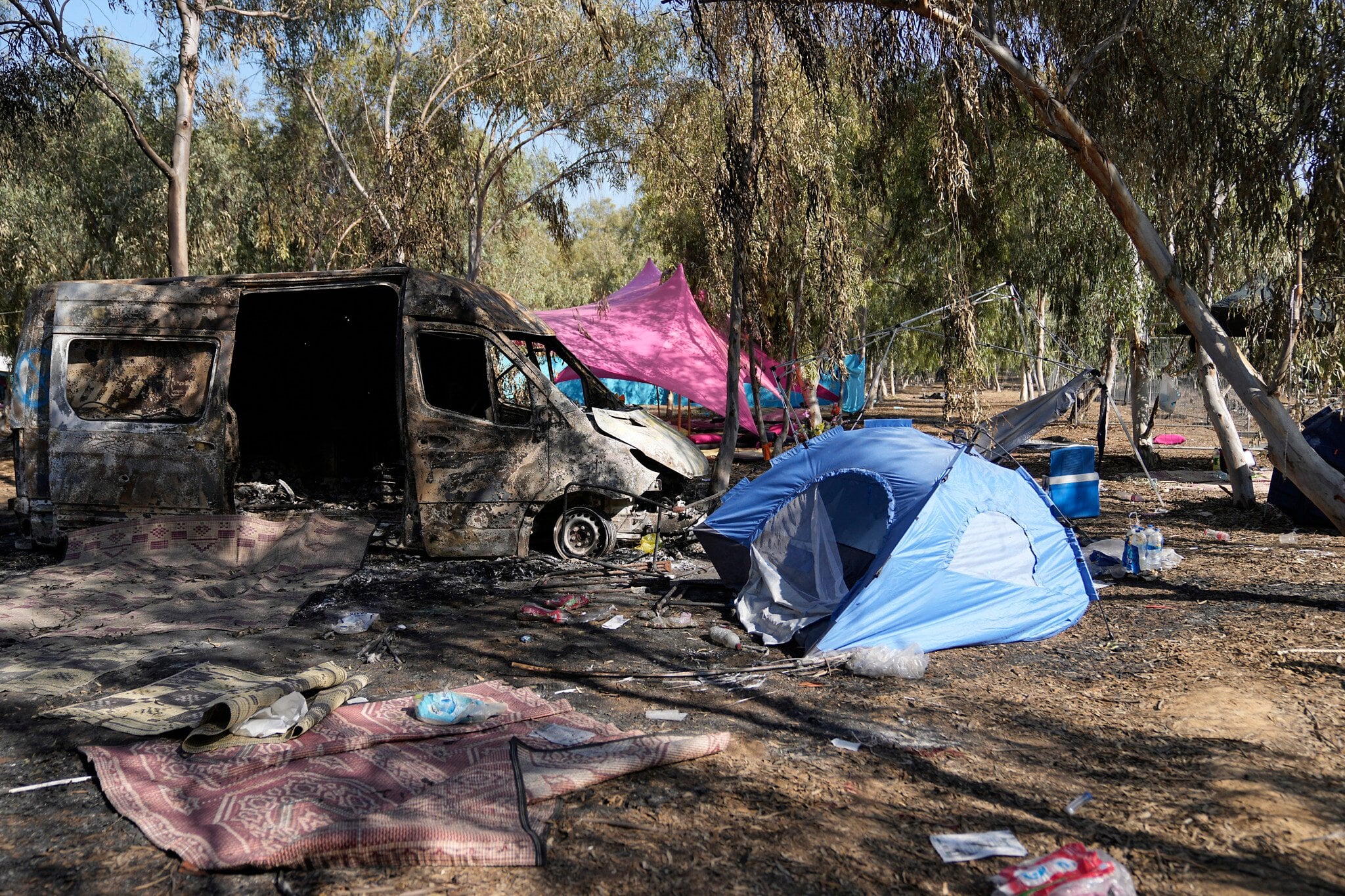 The Blogs: Surviving Nova: My fight to rebuild my life | Nir Friedrich ...