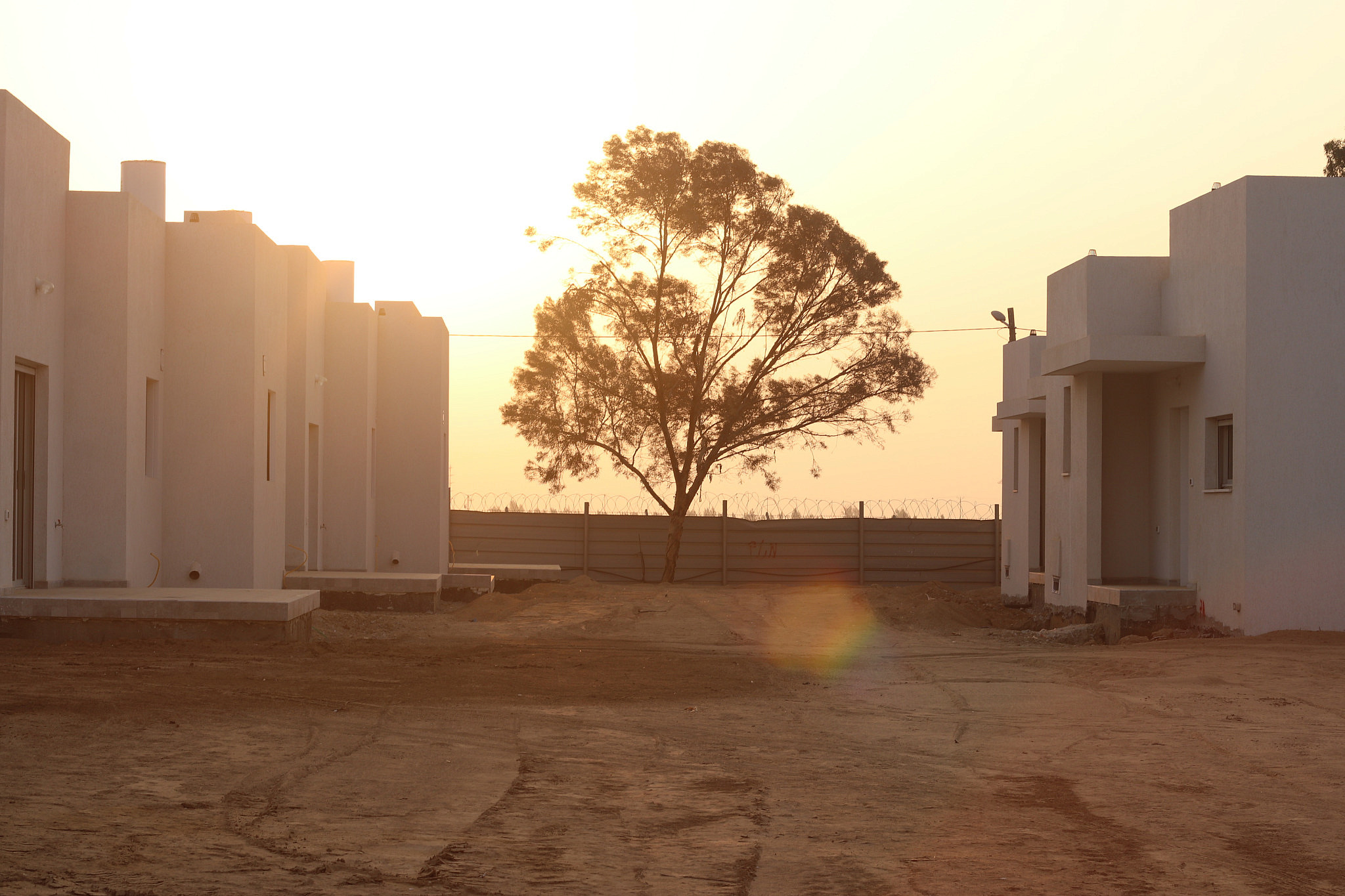 The Blogs: Growing forward | Adele Raemer | The Times of Israel