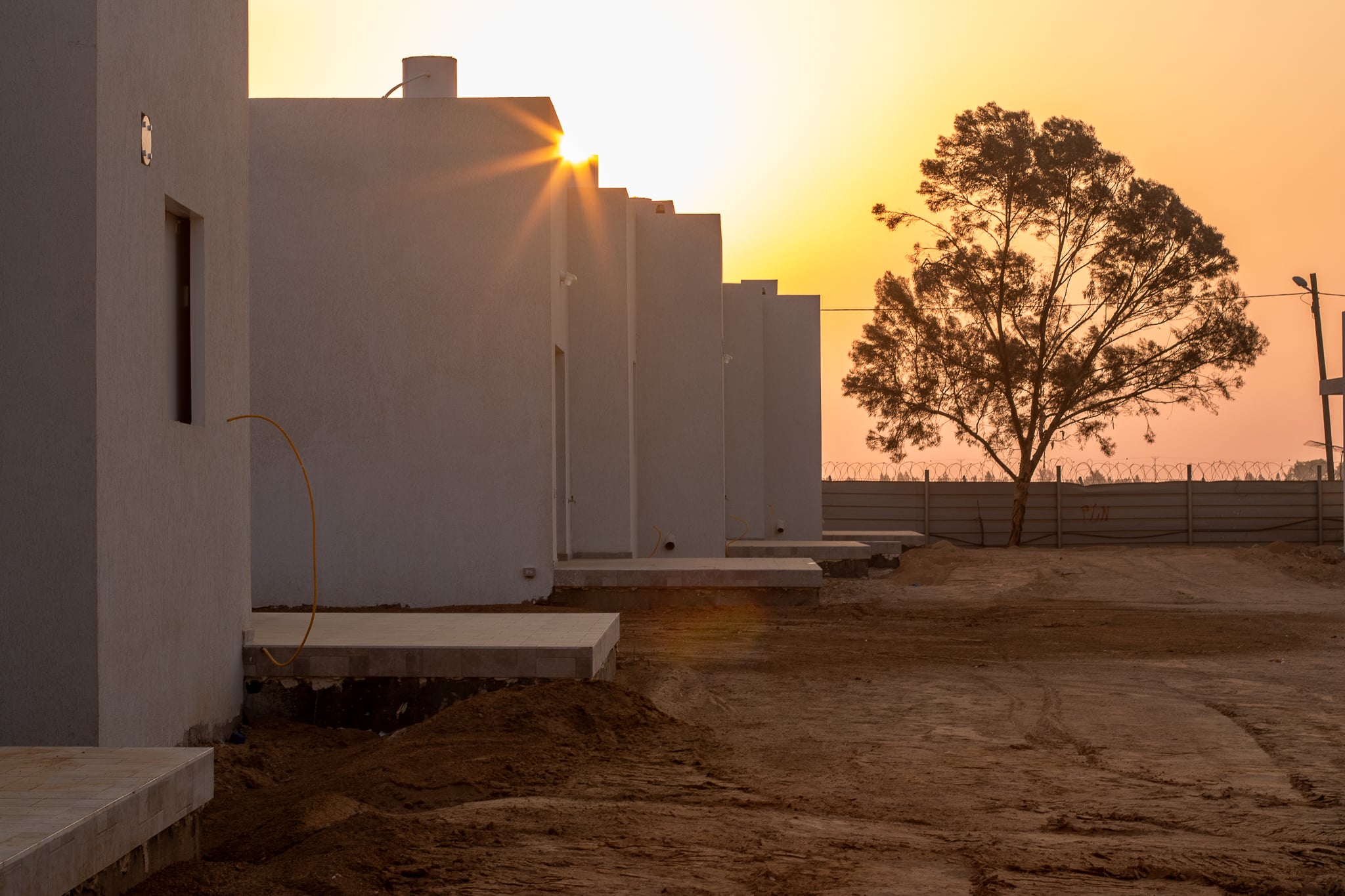 The Blogs: Growing forward | Adele Raemer | The Times of Israel