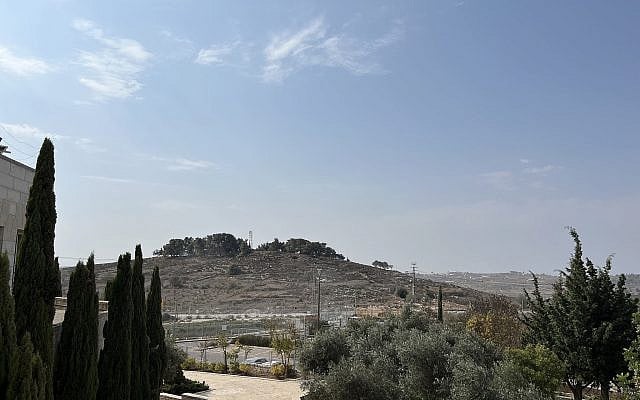The Blogs: Where is Migdal Eder? | Sharona Margolin Halickman | The ...