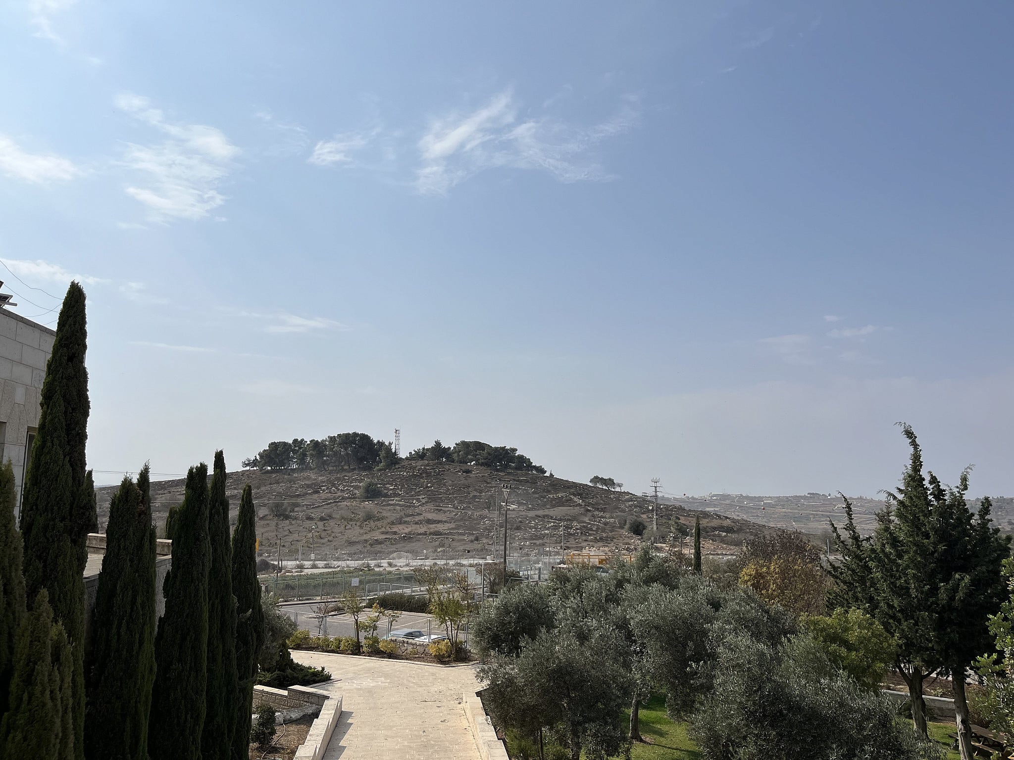 The Blogs: Where is Migdal Eder? | Sharona Margolin Halickman | The ...