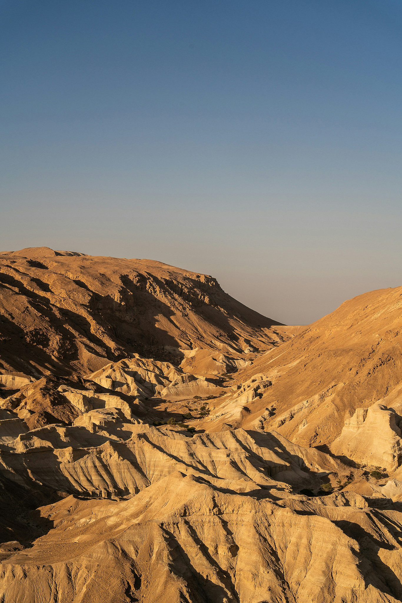 The Blogs: Radical Hospitality, Otherness, and Faith | Saul Paves | The ...