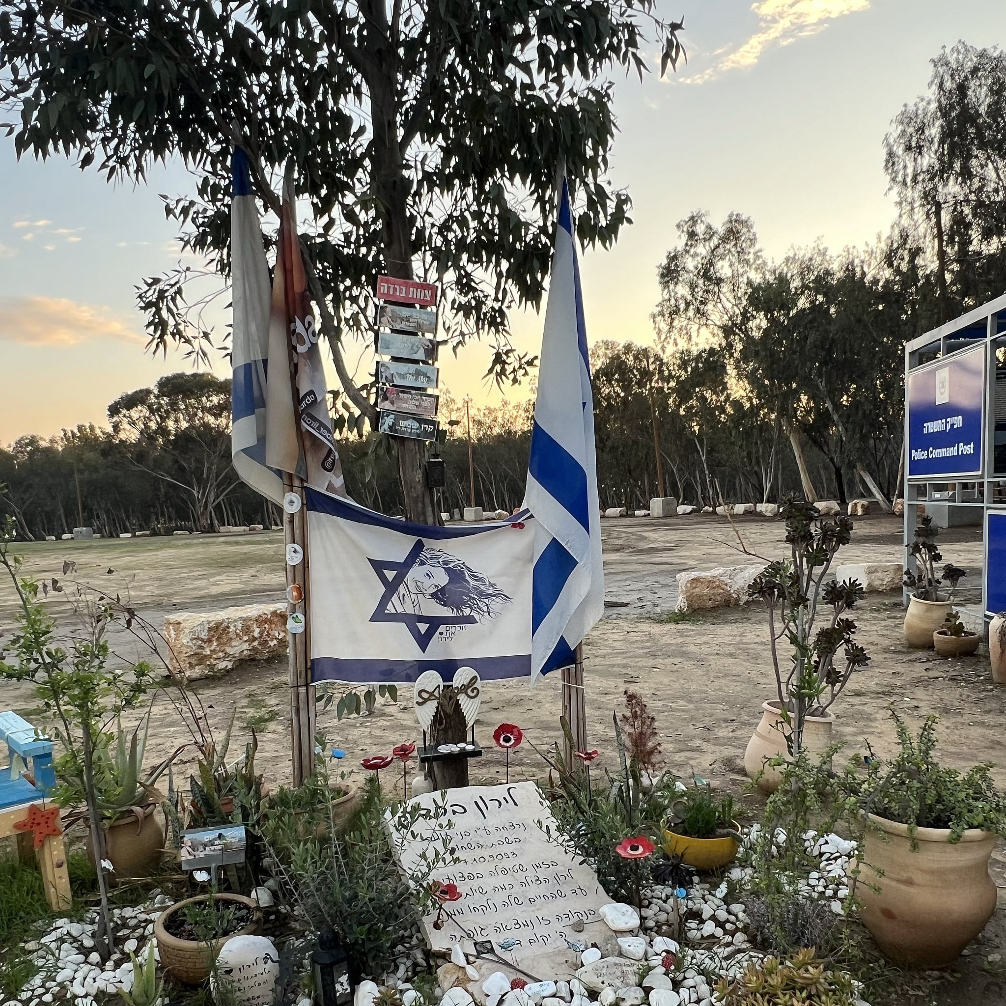 The Blogs: A flicker in the dark: my day at Nova | Anna Abramzon | The ...