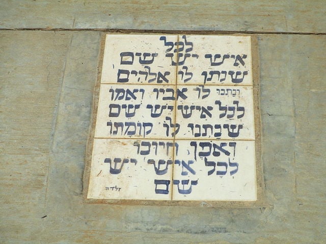 The Blogs: A Good Name — Sh’mot 5786 | David Lerner | The Times of Israel
