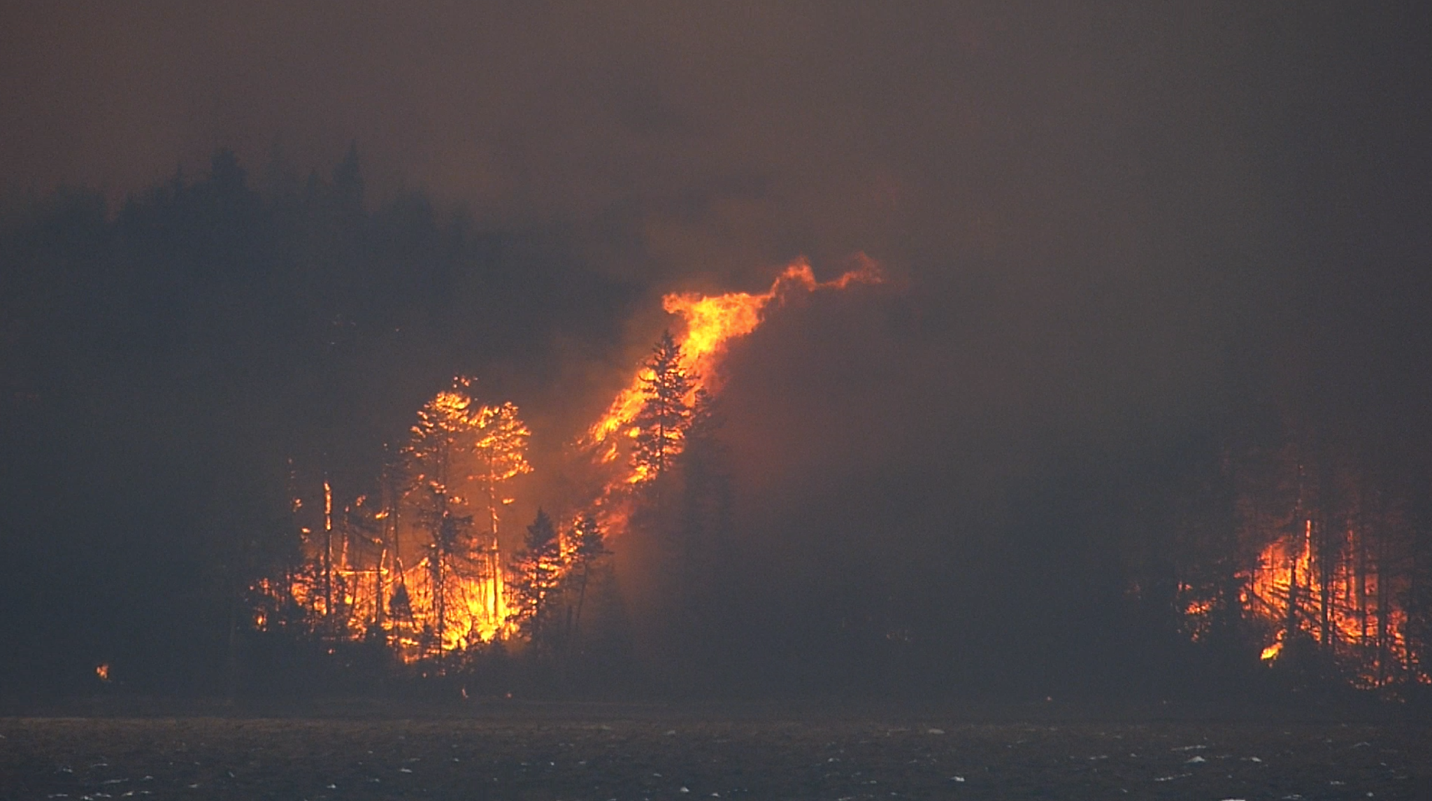 The Blogs: Nepal’s Wildfire Crisis: Can Biomass Help? | Prabalta Rijal ...