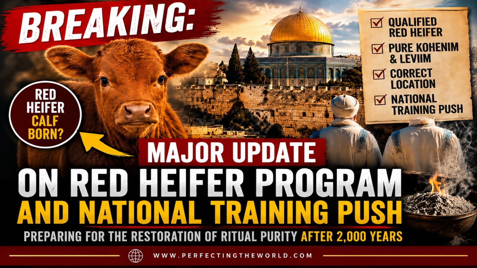 The Blogs: Breaking: Major Update on Red Heifer Program and National ...