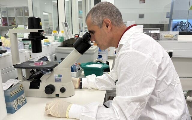 Une équipe israélienne prépare la première greffe de moelle épinière ...