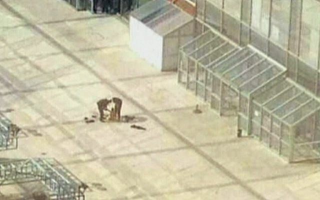 21 wounded in terror attack on Tel Aviv bus | The Times of Israel