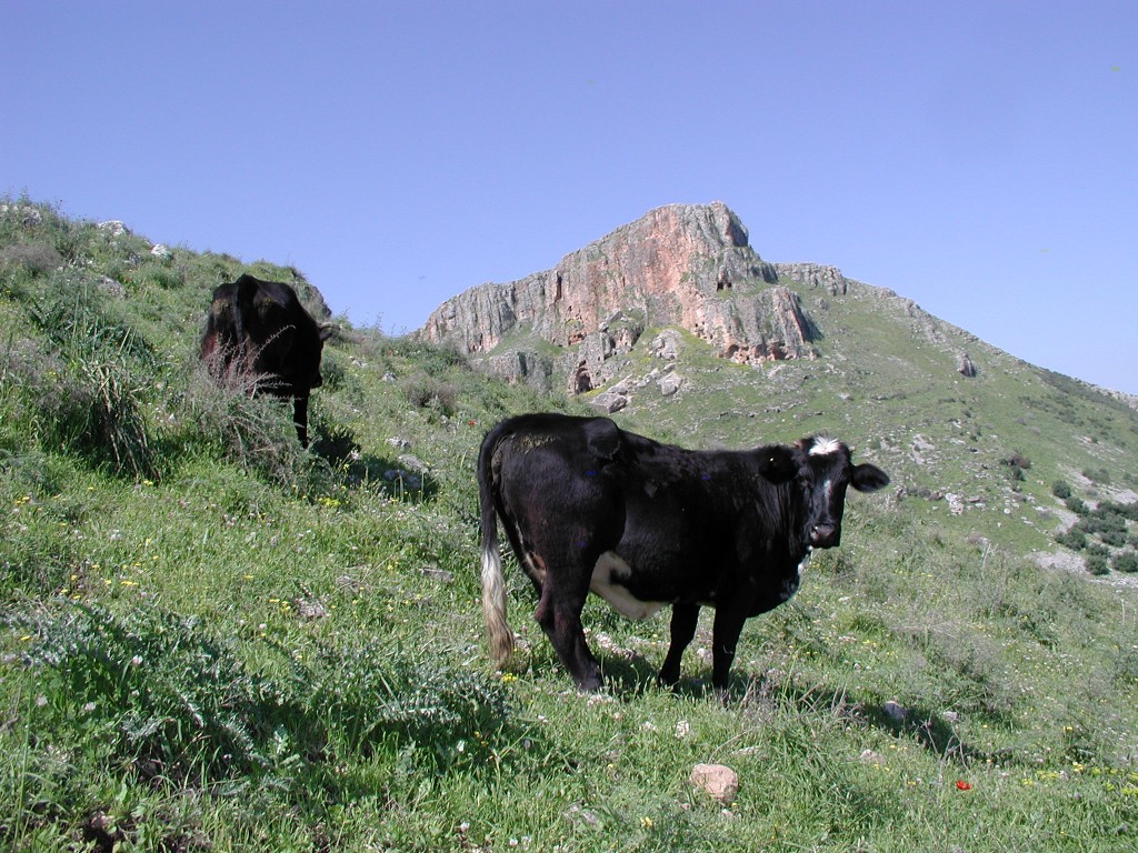 Caves of Arbela: The ultimate hiding place | The Times of Israel