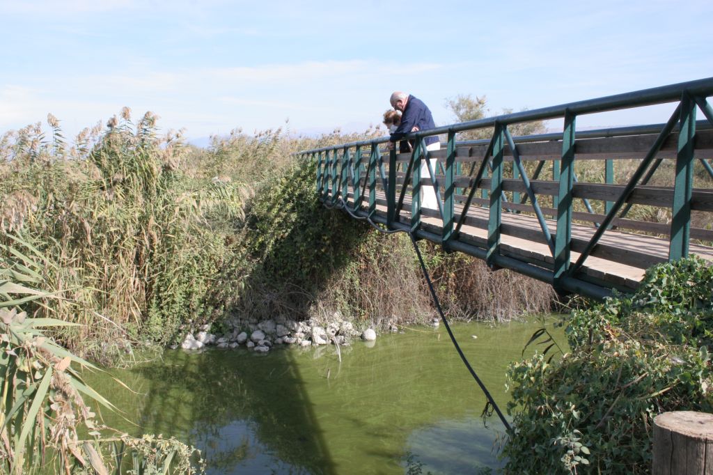 Fall for nature in the raw at the Huleh nature reserve | The Times of ...