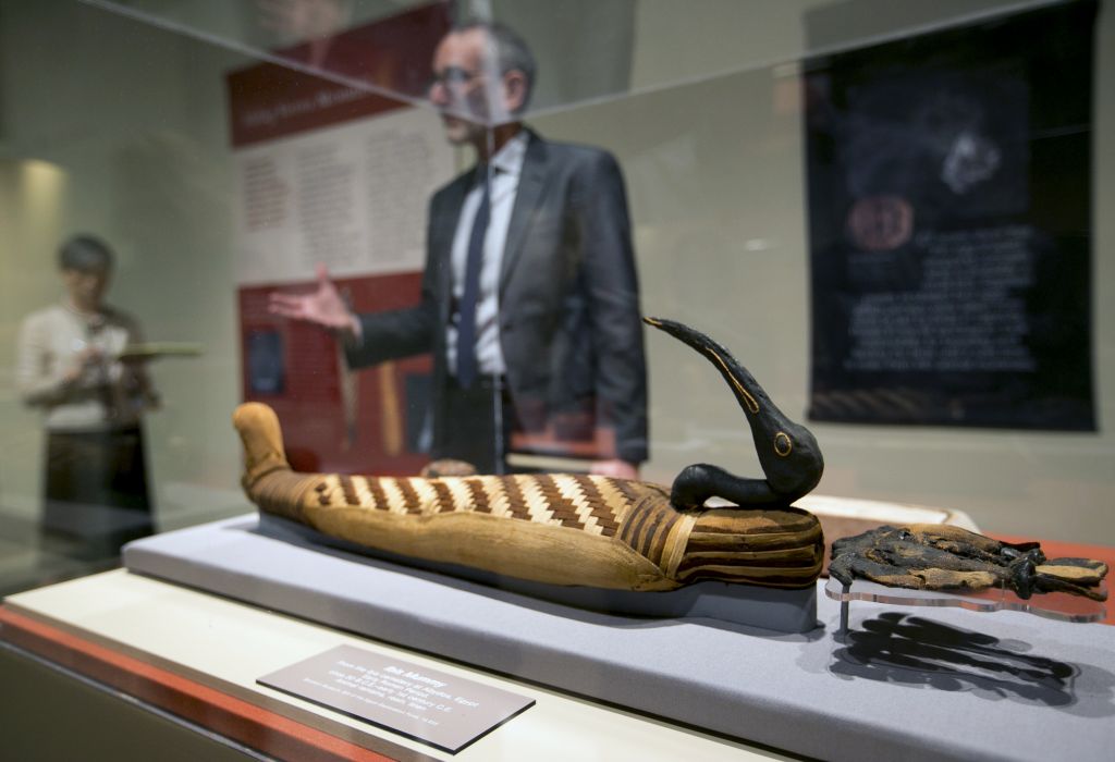 Animal mummies go on display at California museum | The Times of Israel