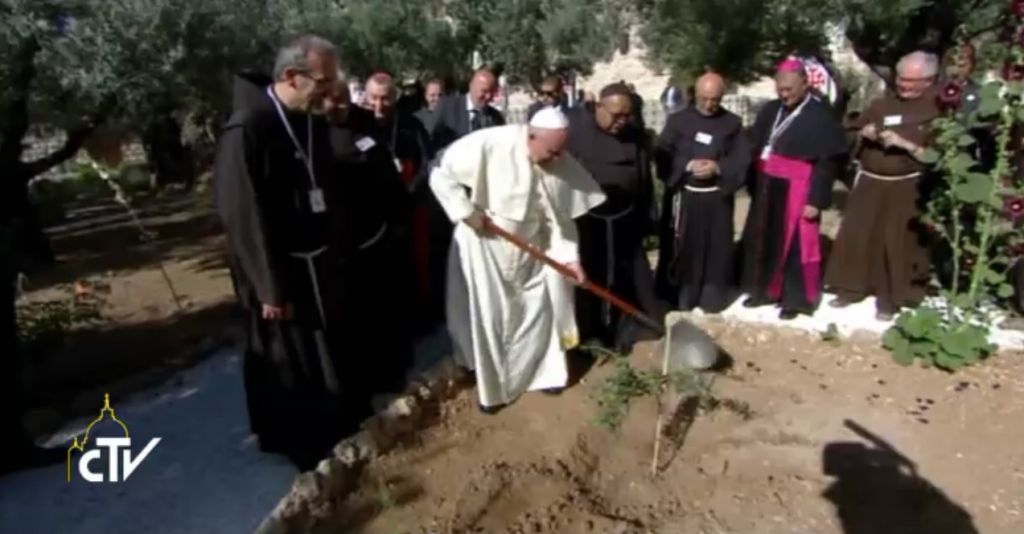 Pope plants 'Palestinian tree' at Garden of Gethsemane | The Times of ...