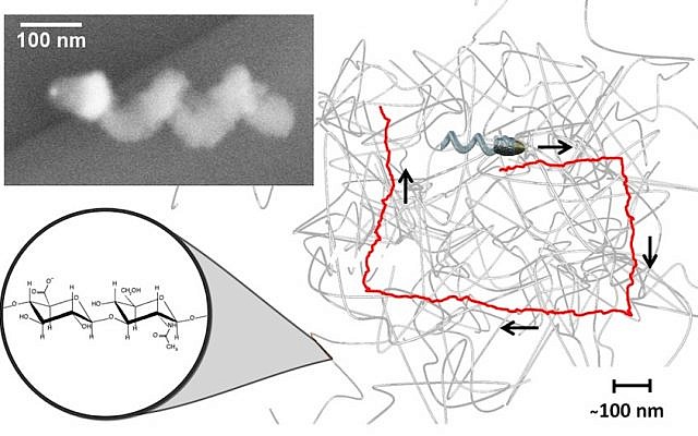 Nano-sized propellers could revolutionize medicine | The Times of Israel