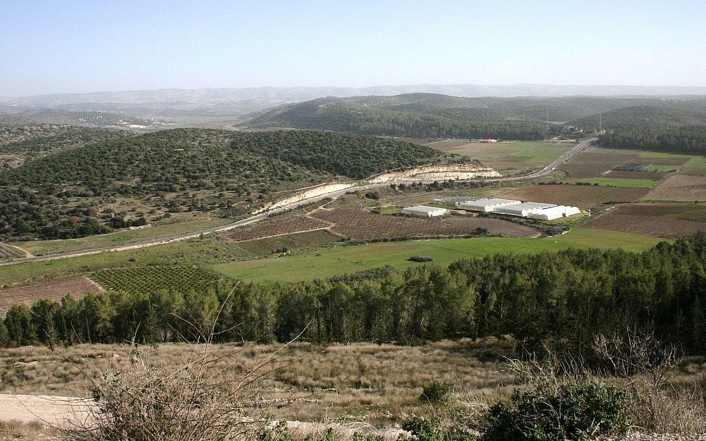 In a palace at Qeifaya, David savored his victory over Goliath | The ...