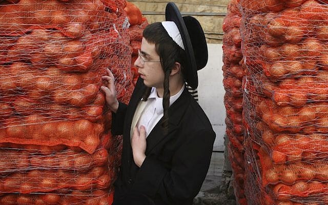 Could an Israeli-created innovation end world hunger? | The Times of Israel