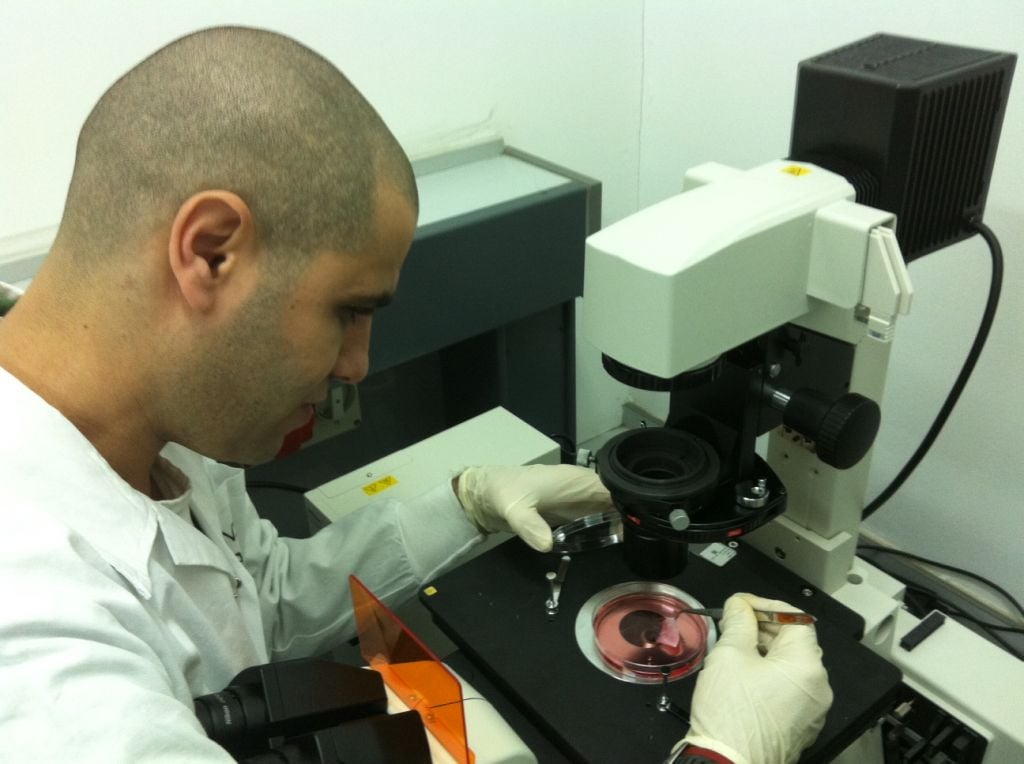 Israelis test gold-plated 'cardiac patch' to treat heart attacks | The ...