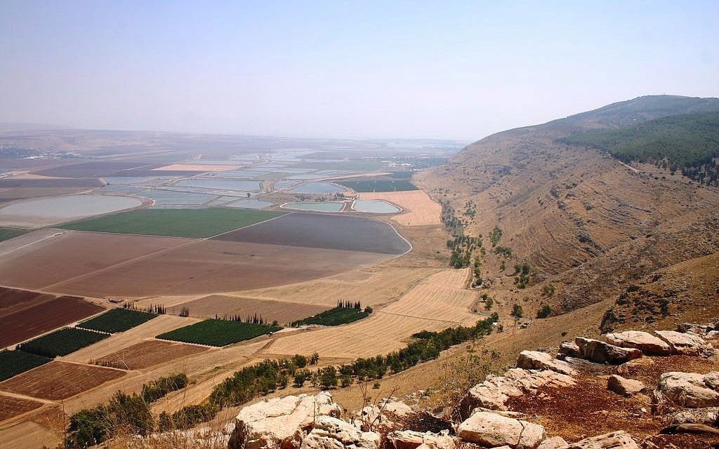 In the Gilboa Mountains, the wildflowers defy King David's curse | The ...