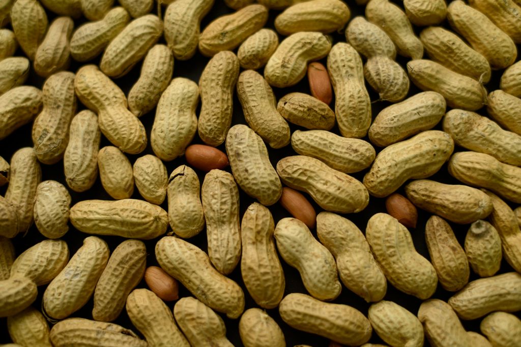 Israeli kids help prove early exposure to peanuts prevents allergies ...