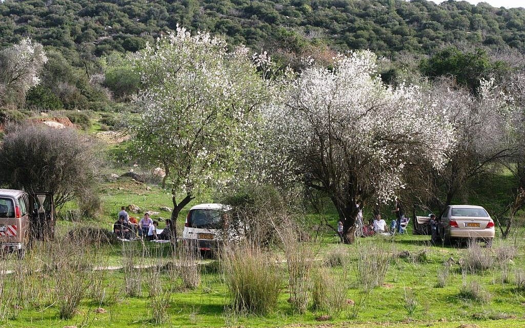Find a spiritual oasis with the monks of Beit Jamal | The Times of Israel