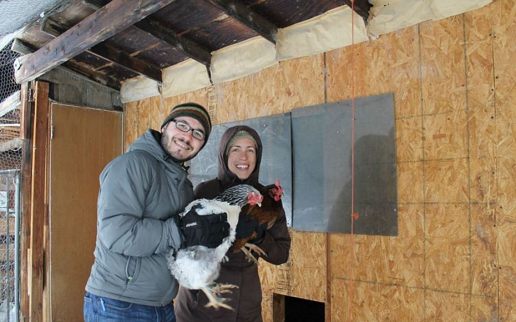 Boulder's new JCC to be a Jewish 'green acres' | The Times of Israel