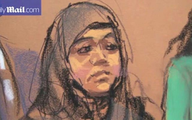 Third US woman in days charged on Syria terror link | The Times of Israel