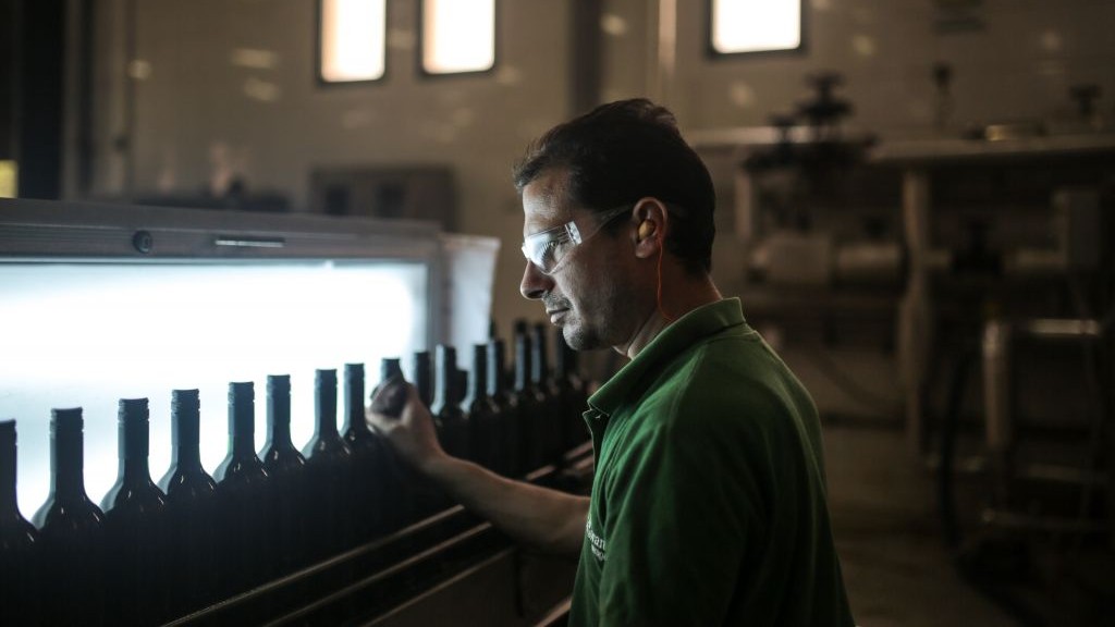 In Muslim Egypt, vintners spur nascent wine industry | The Times of Israel