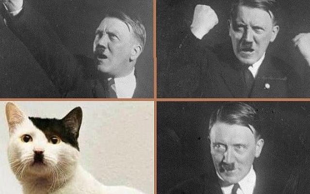 Cats That Look Like Hitler Cat Owner Stunned To Find Face Of ADOLF