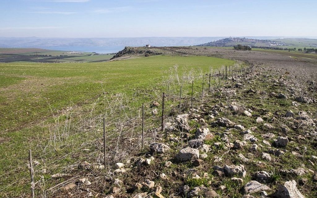 Battle shapes up over site where Napoleon and Saladin fought | The ...