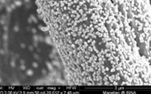 Nano Textile says it can make any fabric antibacterial | The Times of ...