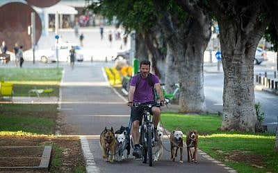 All dogs are bad and their owners accursed, Israeli city’s rabbis rule ...