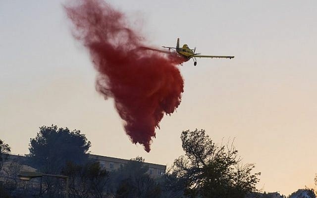 Israelis reach out to Haifa's 75,000 fire-ravaged homeless | The Times ...