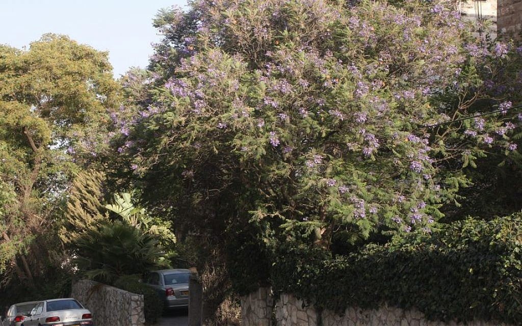 On a small Jerusalem street, a historic literary rivalry | The Times of ...