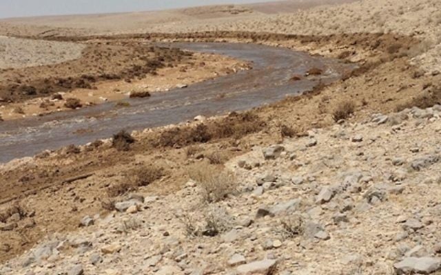 Fertilizer giant to pay NIS 110 million compensation for polluting ...