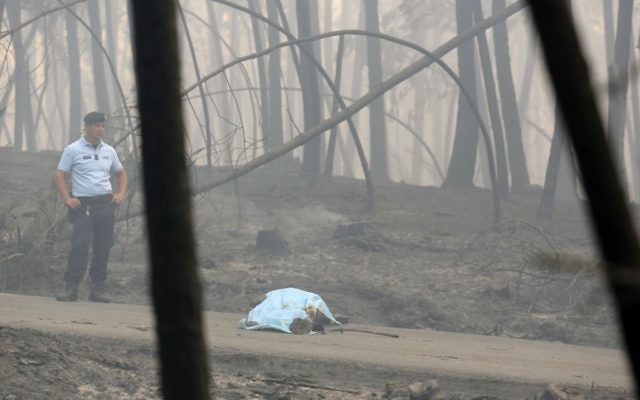 62 dead in central Portugal wildfire disaster | The Times of Israel