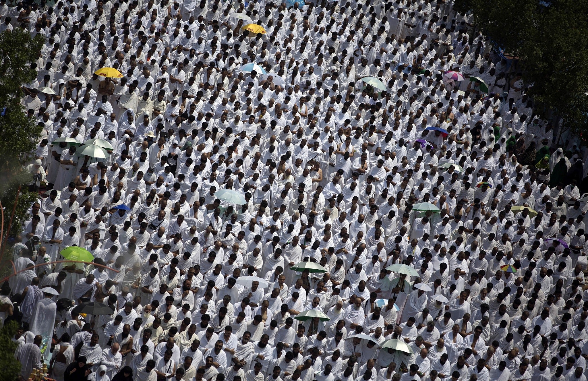 The Muslim hajj in numbers | The Times of Israel