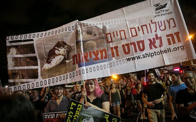 Thousands rally for animal rights at Tel Aviv demonstration | The Times ...