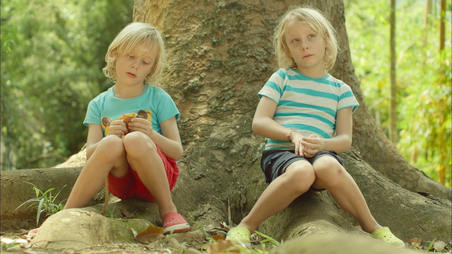 Impressionistic visual essay 'Red Trees' reinvents Holocaust film genre ...