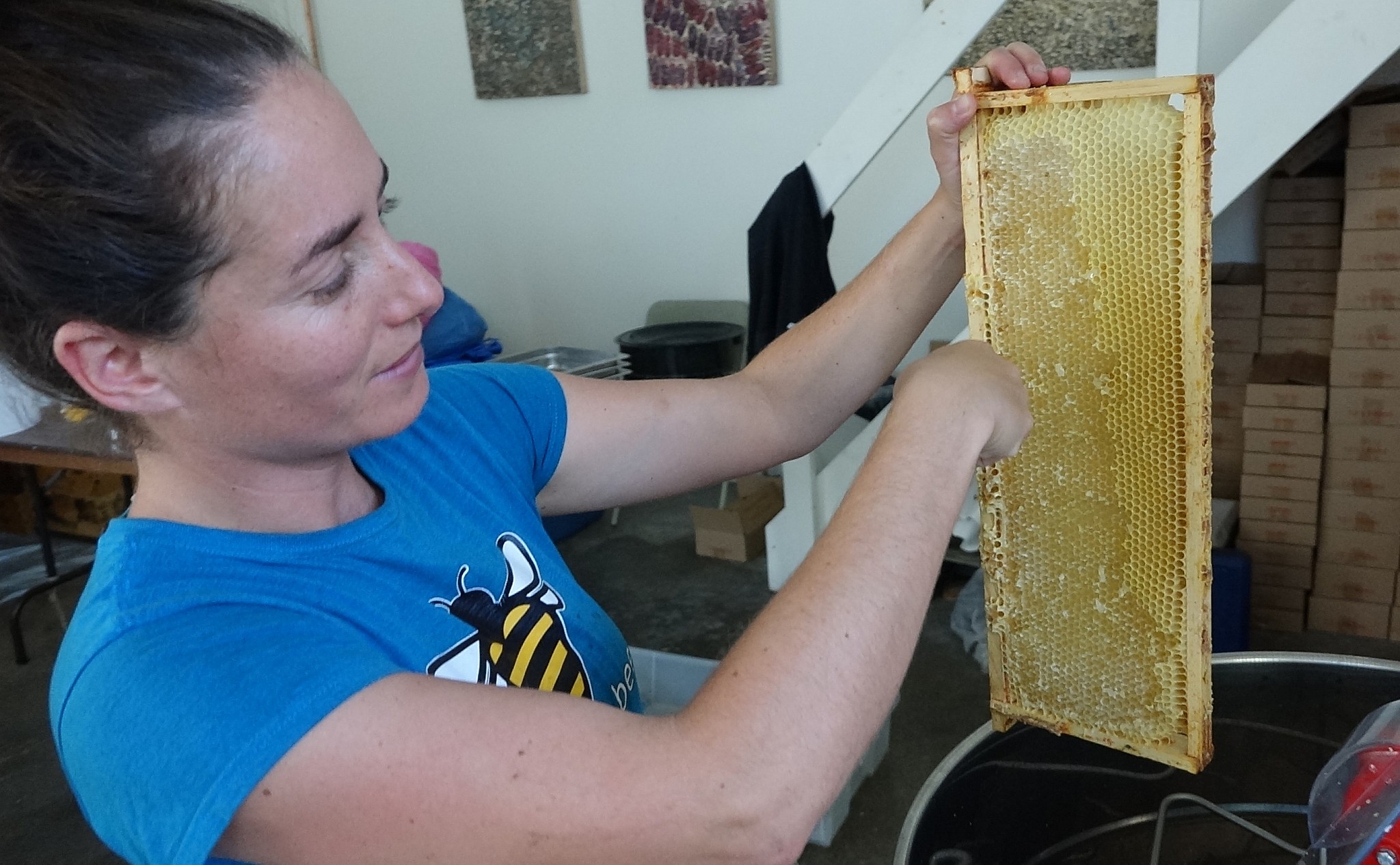 Jewish beekeepers in Toronto offer Rosh Hashanah sweetness by the jar ...