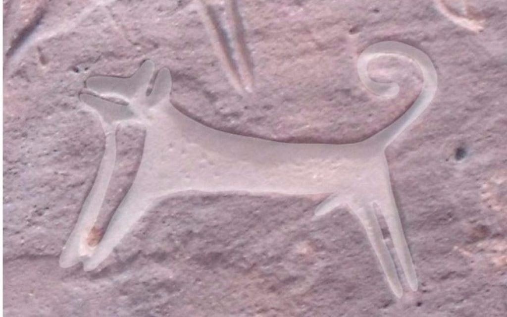 Were Israel's Canaan dogs man's best friends 9,000 years ago? | The ...