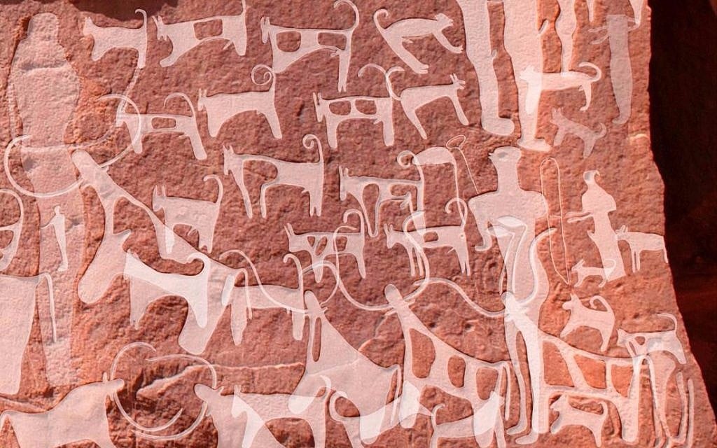 Were Israel's Canaan dogs man's best friends 9,000 years ago? | The ...