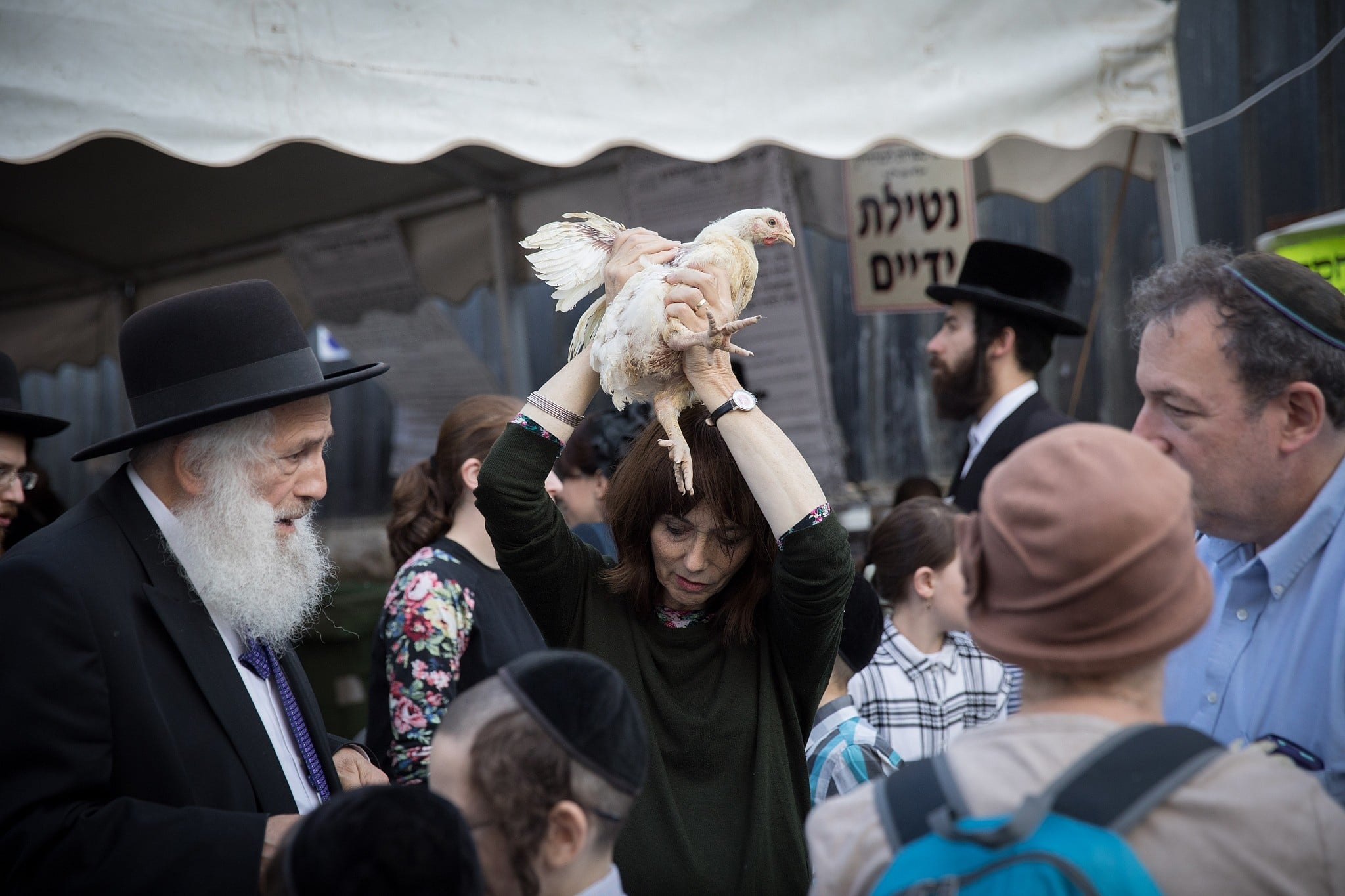 Chicken-swinging ritual endures despite animal welfare concerns | The ...